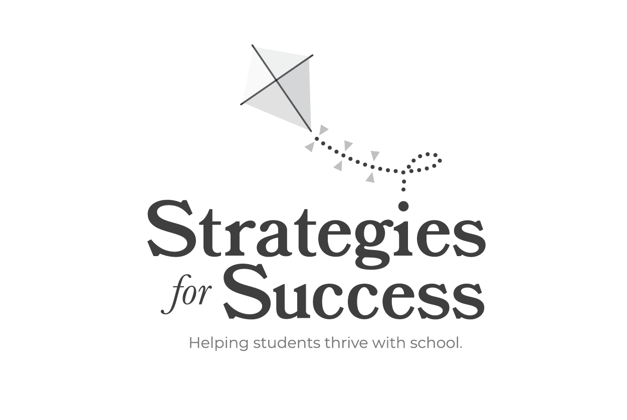 Brand Muffins & Packages - DARCI Creative